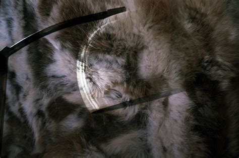 Sofia Moraes Fine Art Sofia Moraes Fine Art Photographer