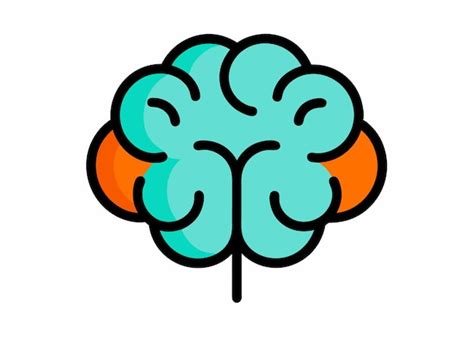Stylized Brain Icons Head Illustrations Vector Art Collection Premium