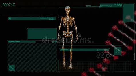 Animation Of Data Processing And Skeleton Over Dna Strand Stock Footage Video Of Computing