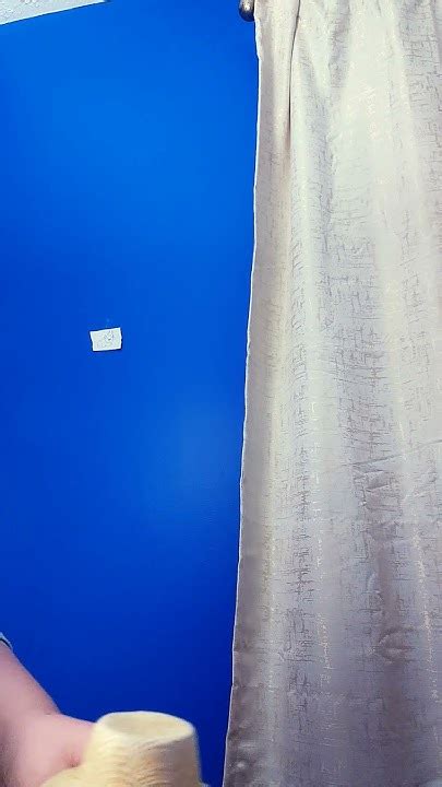 B L O B E R T Youtube