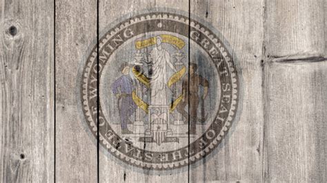 90 Wyoming Seal Stockfotos Afbeeldingen En Royalty Free Beelden Istock