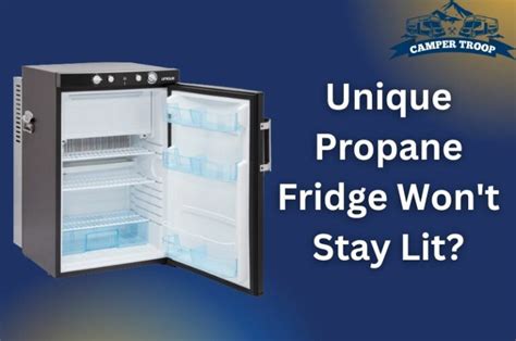 Dometic Rv Refrigerator Reset 4 Steps To Get It Done