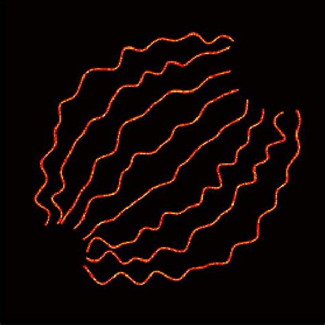 Isbi Smlm 2013 Dataset A Ground Truth Data B Sum Of All