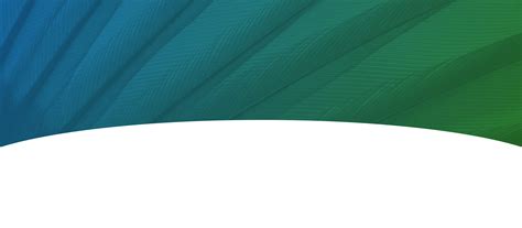 Que Faire Lorsque Son Oiseau Meurt Soudainement Hagen Avicultural