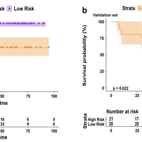 Predictive Model Development Process Of This Study We Collected