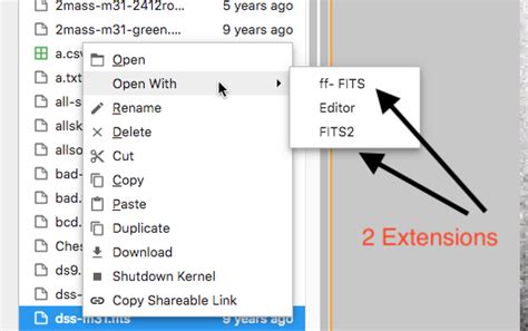 Cannot Setup 2 Extensions With Same Mime · Issue 5381 · Jupyterlab