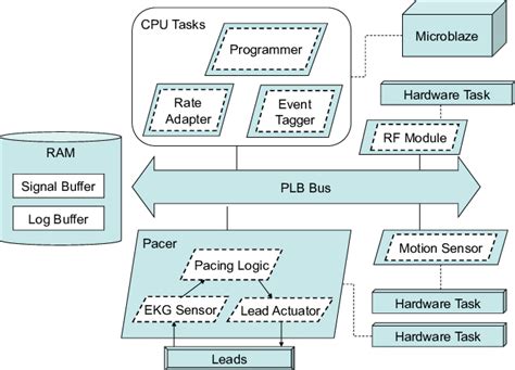 Mapped Pacemaker Platform Download Scientific Diagram
