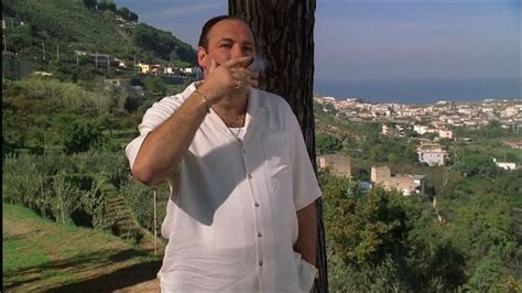 Pin By Slehnerx Zf On Soprano Swing Sopranos Tony Soprano Detective