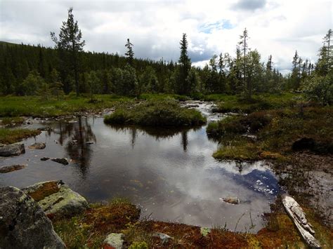 Nalle Tølle Og Tassens Blogg På Rundtur I Vassfaret
