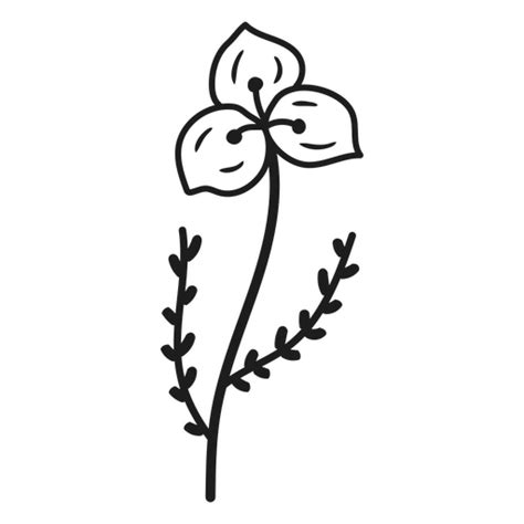 Floral Design With A Single Leaf Png And Svg Design For T Shirts