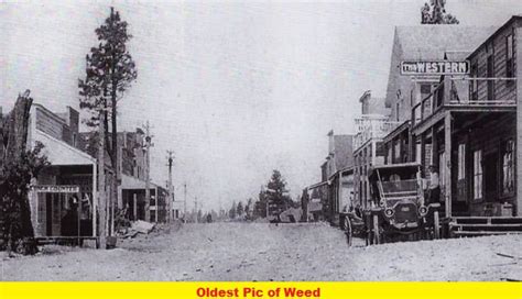 Weed California History And Interesting Facts Exploring Usa