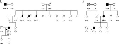 Determining The Frequency Of De Novo Germline Mutations In Dna Mismatch Repair Genes Pmc