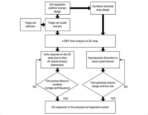 flow diagram for the development of the cell separation system with