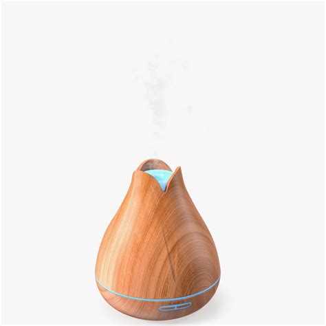 Premium Essence Diffuser Pure Daily Care 3d Model 34 3ds Blend