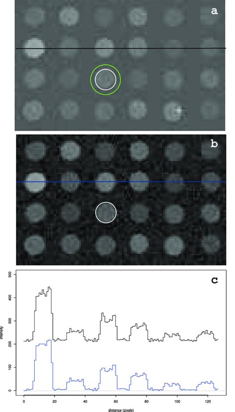 A Gray Scale Image Of An In Situ Synthesized Oligonucleotide Download Scientific Diagram