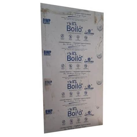 18 Mm Action Tesa Boilo Board For Home At Rs 123 Sq Ft In Faridabad Id 2851804230430