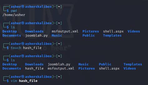 Hacking Applied Getting Root Access With Metasploit Asher Orr Cybersecurity Portfolio