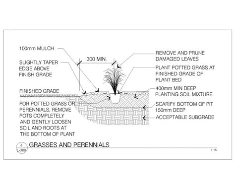 Grasses And Perennials Details Dwg Thousands Of Free Cad Blocks