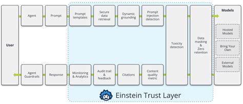 Why The Einstein Trust Layer Is A Key Part Of Agentforce Nebula