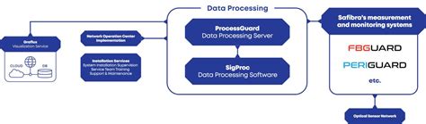 Data Processing Analytics Tool Safibra