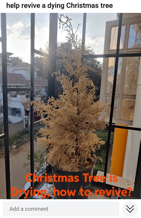 Cpr Stat Rhouseplantscirclejerk