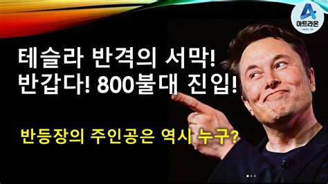 테슬라 반격의 서막 반갑다 800불대 진입 반등장의 주인공은 역시 누구 Youtube