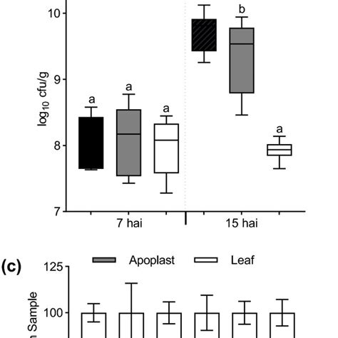 Procedure For Arabidopsis Apoplast Extraction A Three Leaves From