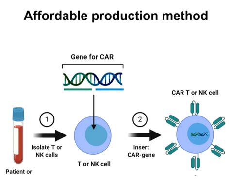 Chula Makes Progress In “car T Cell Therapy” Innovation Chulalongkorn
