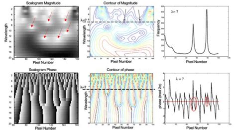 detection of singularity neighborhoods the scalogram response