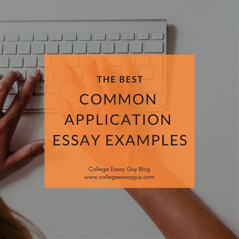 Common App Essay Artofit