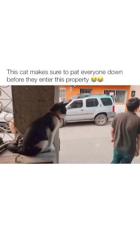 Hes Blessing Them Tumbex