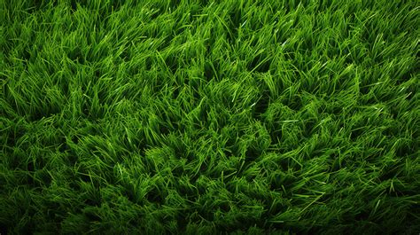 Background Of Lush Green Grass Grass Pattern Grass Texture Grass