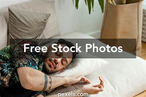 Plant Without Backgroung Photos Download The Best Free Plant Without