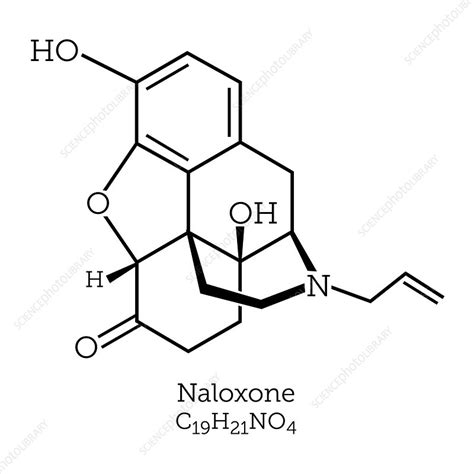 Naloxone Molecular Model Stock Image C0430543 Science Photo Library