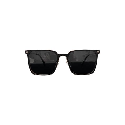 Luis Sol Optica Renovatio