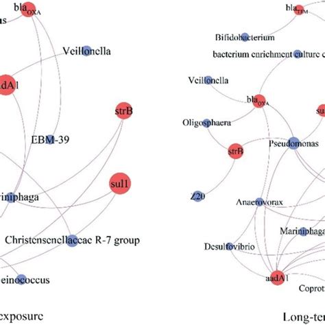 Network analysis showing the co-occurrence patterns between ARGs and... | Download Scientific ...
