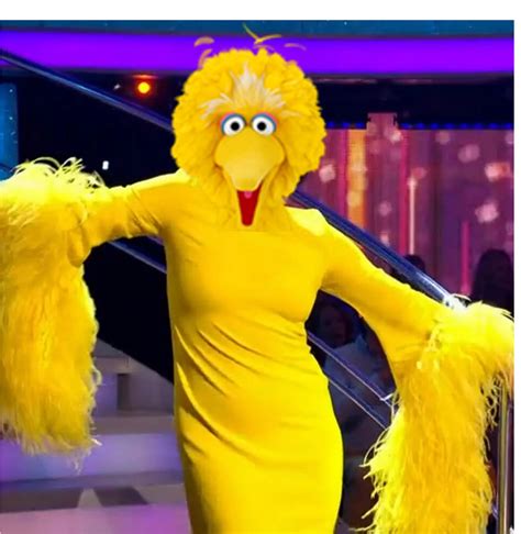 Funny Big Bird Pictures Big Bird And Oscar The Grouch Sesame Street