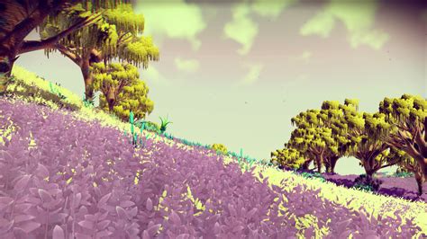 Foundation Purplelight Yellow Grass Rnmsfoundations