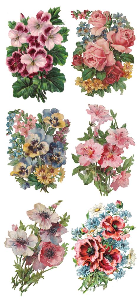 Free Printables Flowers Educational Printable Activities