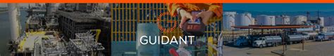 Guidant Measurement Linkedin