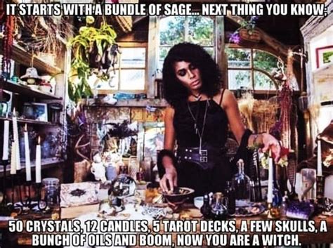 Pin By Solaris On Witchy Memes Tarot Witch Witch Meme
