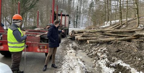 Acuzații De Defrișări Ale Pădurii și Distrugere A Drumului Județean De