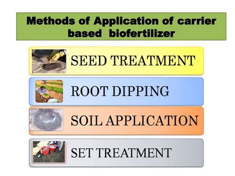 Methods Of Application Of Biofertilizerpptx