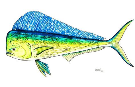 Dorado Fish