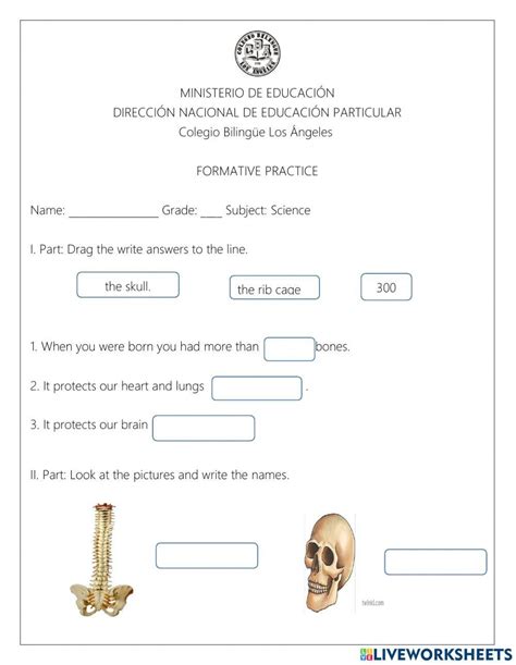 3 Grade Formative Practice Worksheet Live Worksheets