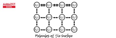 Surface Tension Definition Formula Examples