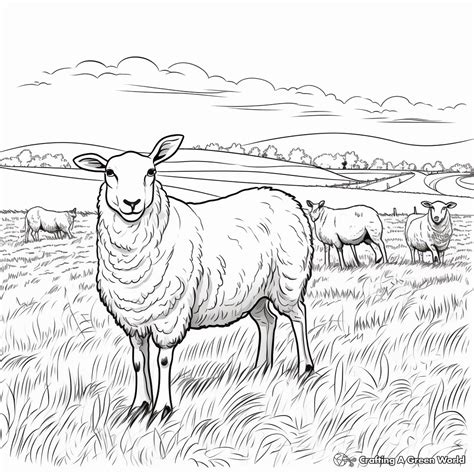 Sheep Coloring Pages Free And Printable