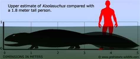 Koolasuchus Alchetron The Free Social Encyclopedia