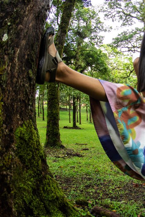 Gusha Castaway Model Management