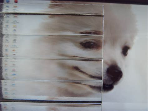 Flat And Processed Glass Mahko International Pte Ltd